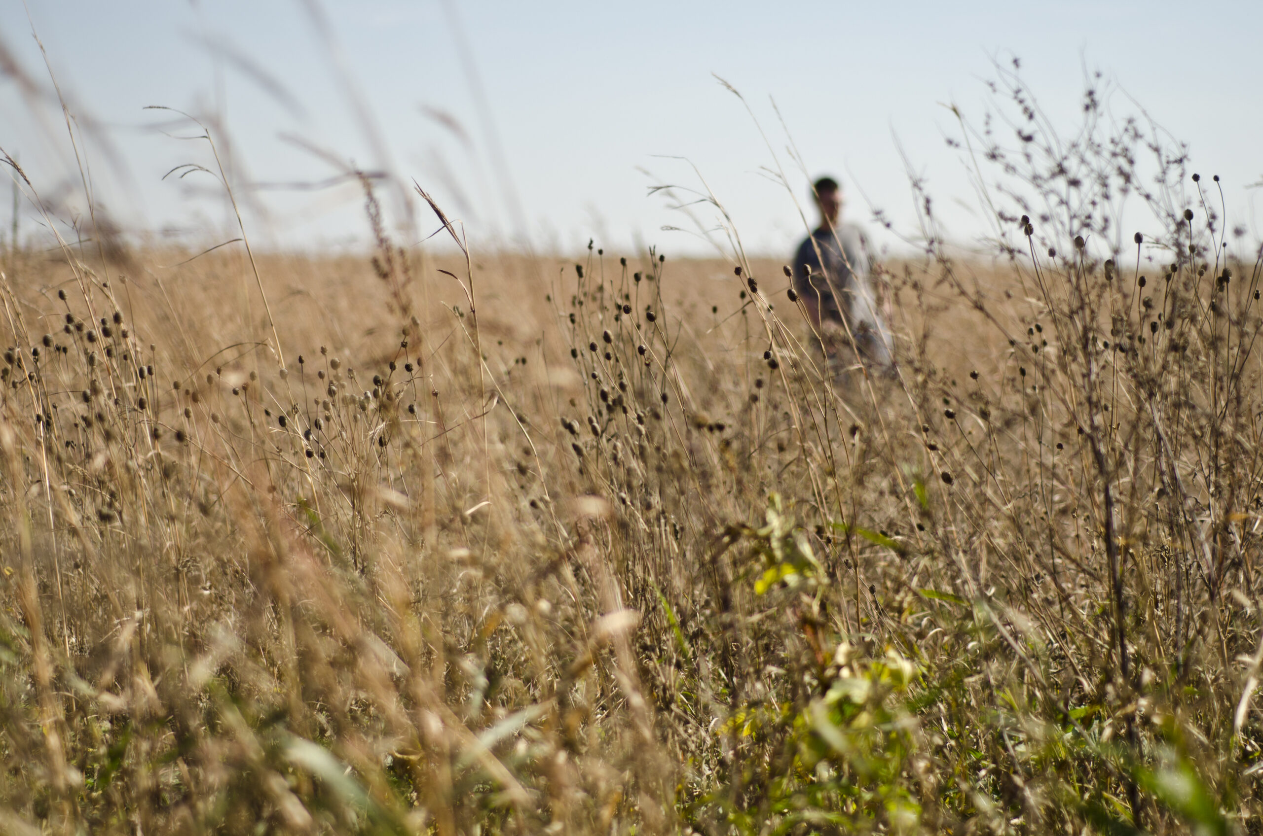 3 Places to take a Hike in Central Wisconsin - Central Wisconsin ...